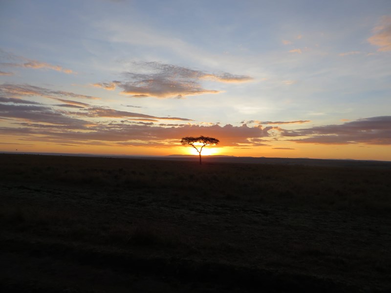 How To Give - Amref Health Africa UK